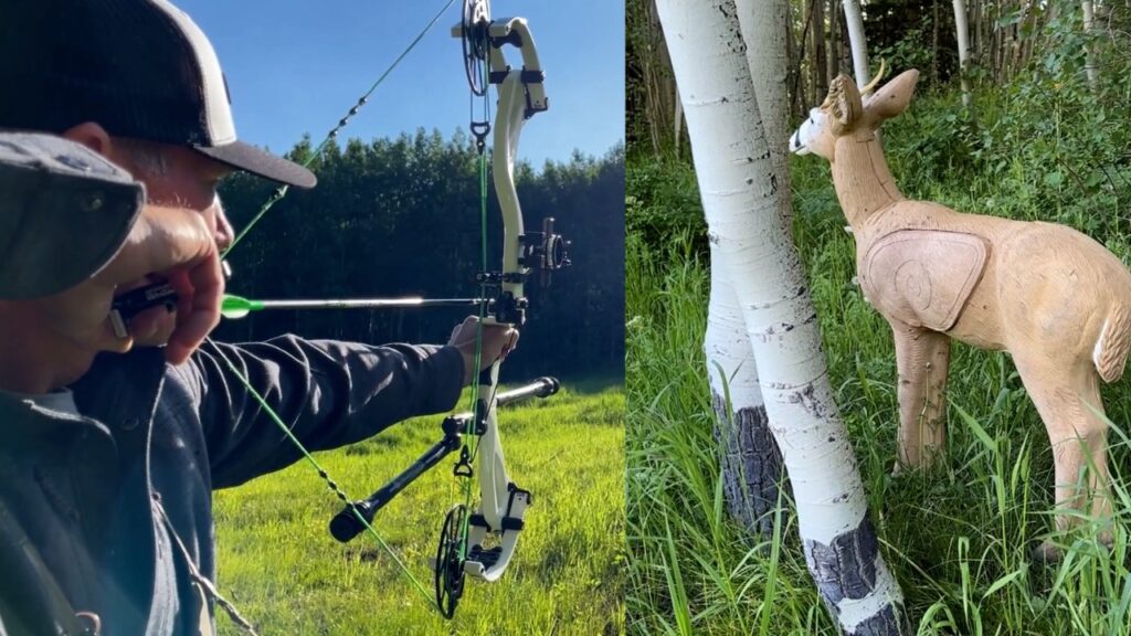 Archery Skills: Mastering Challenging Shots Under Pressure - Nock On ...