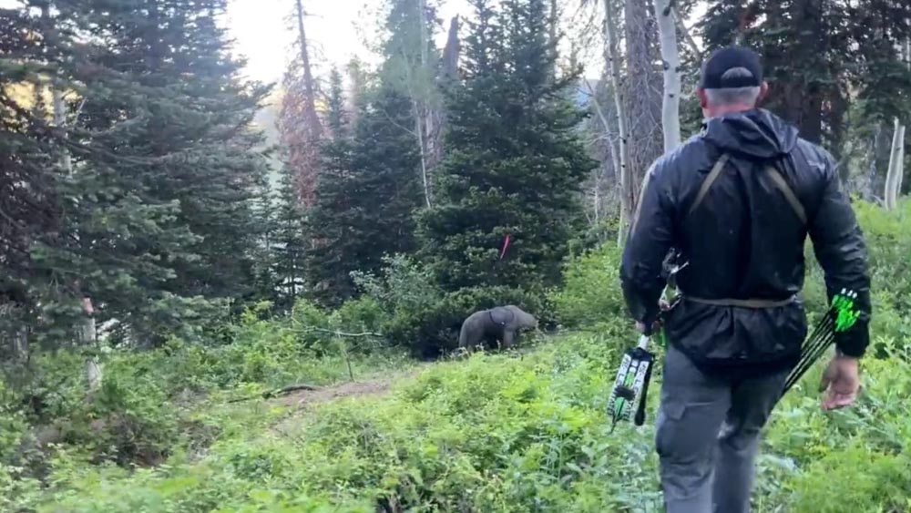 Archery Target Selection: Master Adaptability for Better Shots - Nock ...