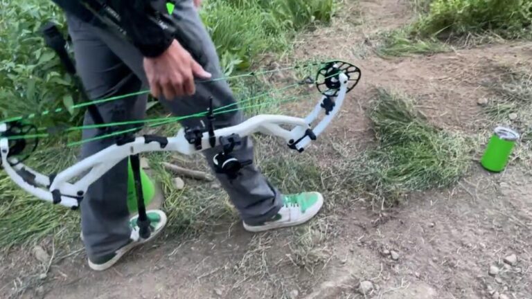 Archery Target Selection: Master Adaptability for Better Shots - Nock ...