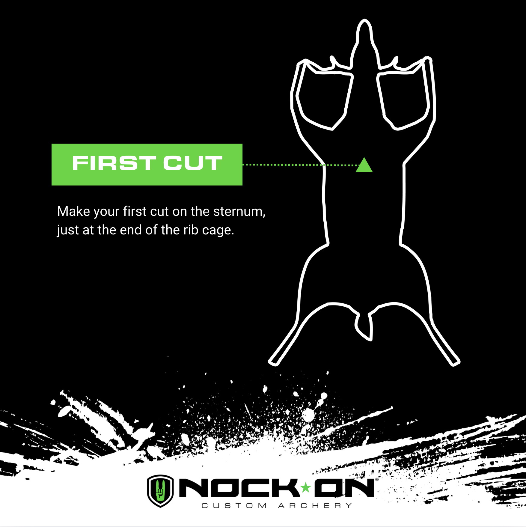 How to Field Dress a Whitetail Deer Alone: The Quick, Clean Method