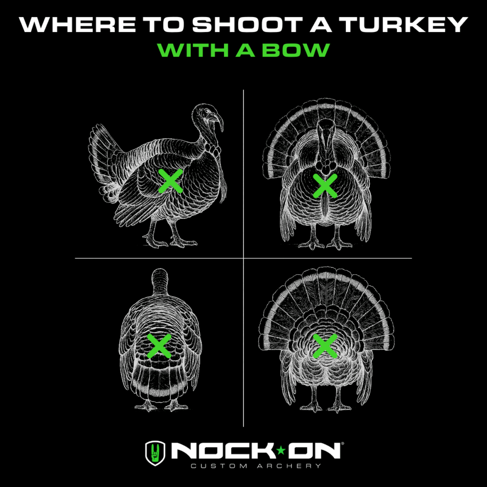 Where to Shoot a Turkey With a Bow for a Quick, Ethical Harvest - Nock ...