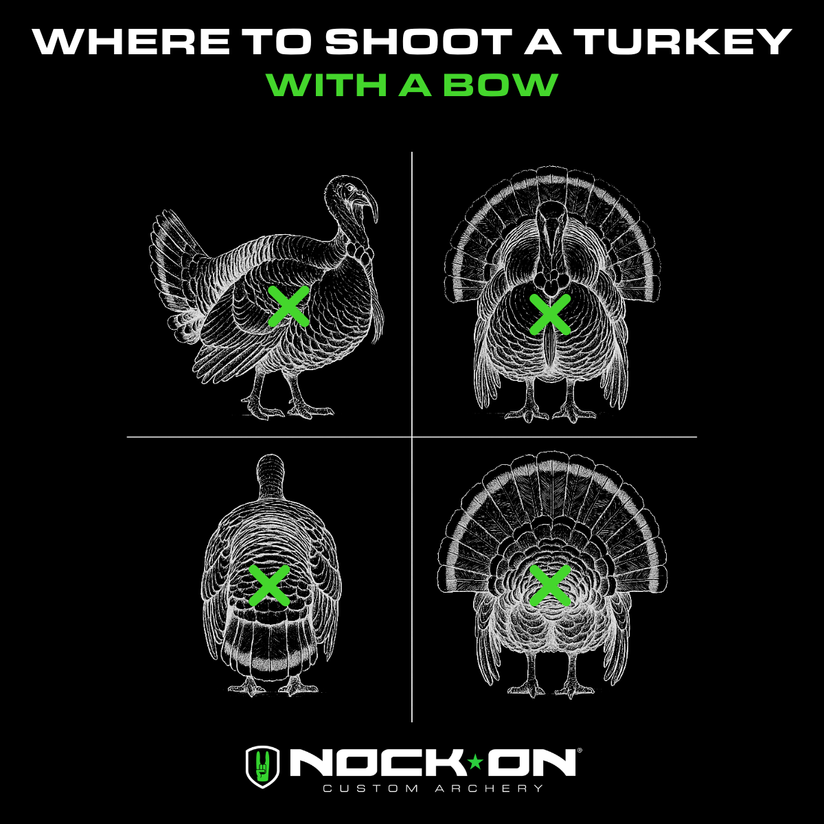 Where to Shoot a Turkey With a Bow for a Quick, Ethical Harvest - Nock ...